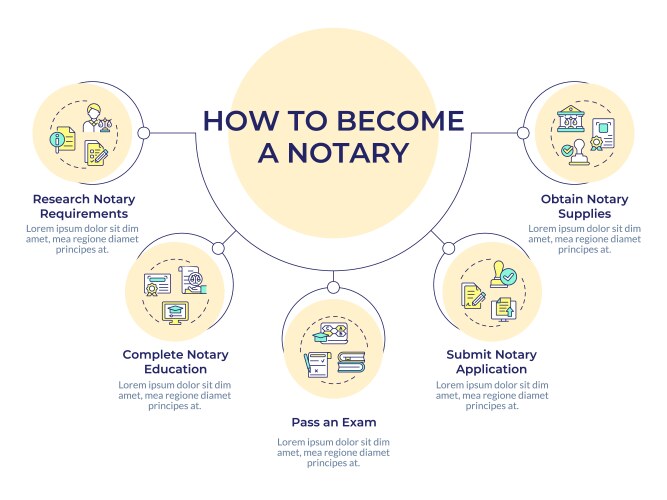 Types of notary circular diagram infographic Vector Image
