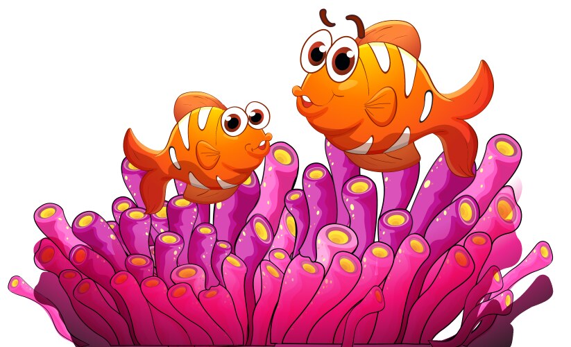 Anemone Vector Images (over 9,200)