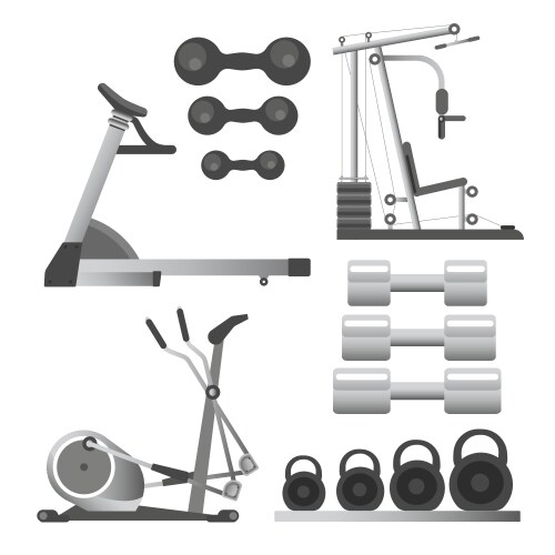 Gym equipment Royalty Free Vector Image - VectorStock