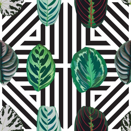 Geo Patterns Vector Images (over 9,500)