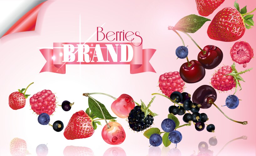 Berry mix composition Royalty Free Vector Image