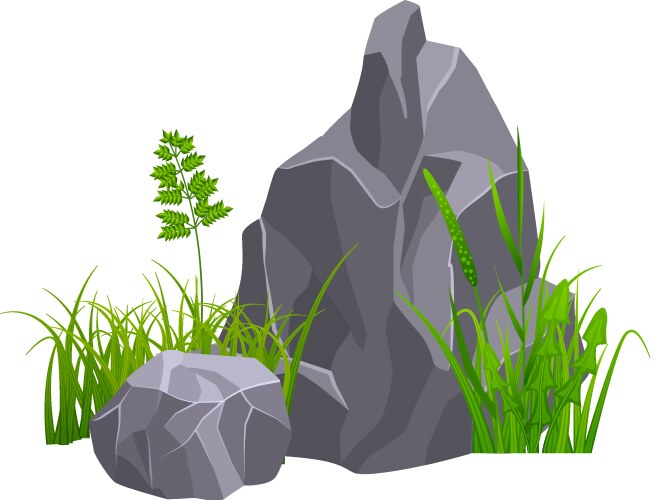 Gray boulders with growing grass natural Vector Image