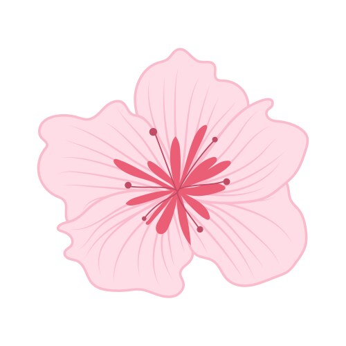 Sakura Vector Images (over 35,000)