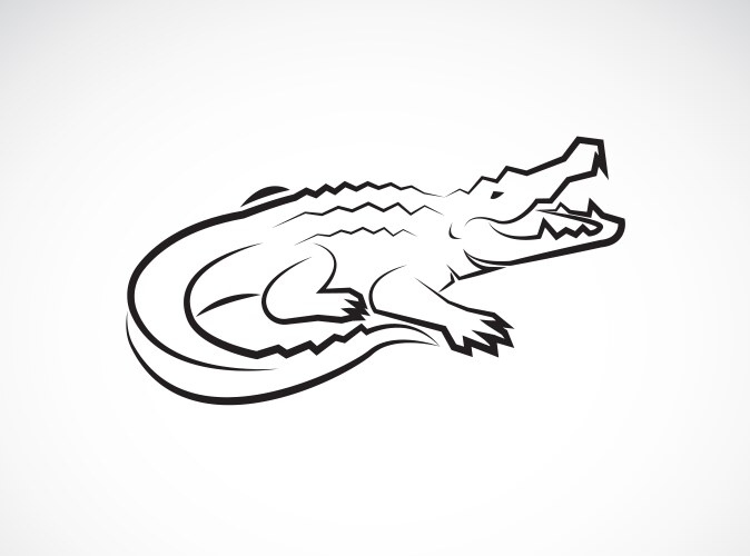 Crocodile outline Royalty Free Vector Image - VectorStock