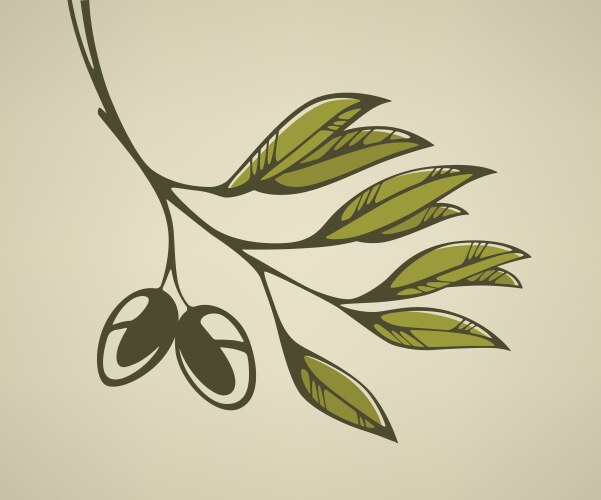 Olive Tree Vector Images (over 240,000)