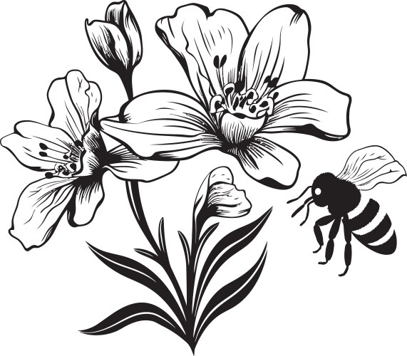 Bee Black and White Vector Images (over 42,000)