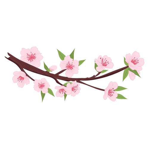Sakura Vector Images (over 35,000)