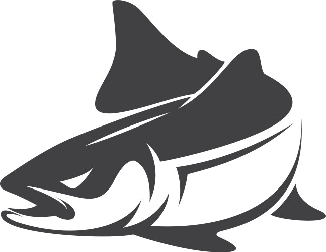 Trout fish fishing template Royalty Free Vector Image