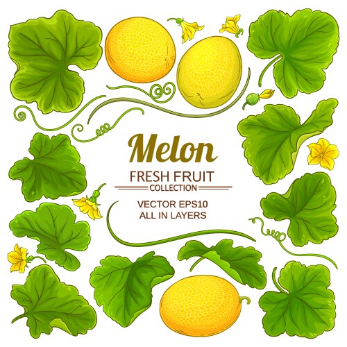 Melon plant set on white background Royalty Free Vector