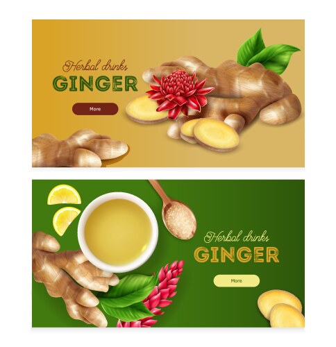 Ginger transparent background set Royalty Free Vector Image