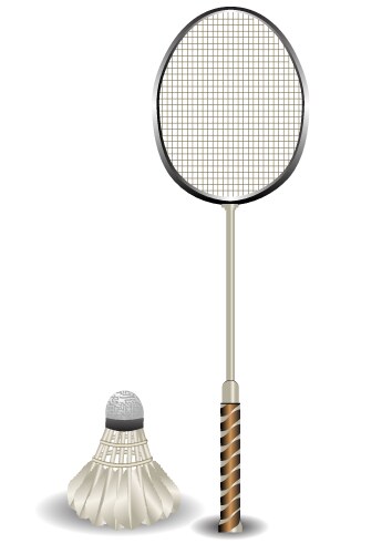 A badminton Royalty Free Vector Image - VectorStock