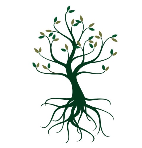 Trees with dead branches and roots Royalty Free Vector Image