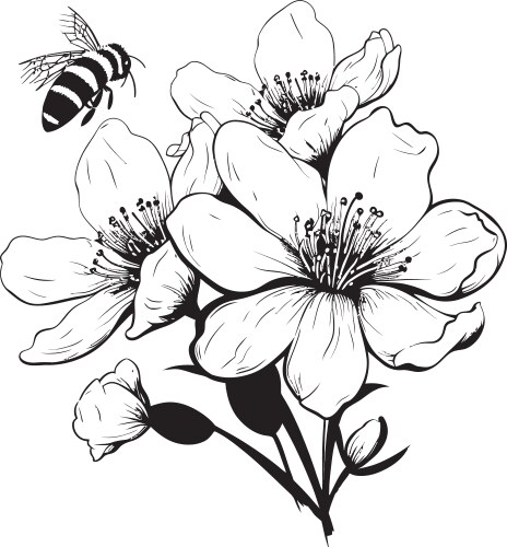 Natures harmony black flower bud and bee Vector Image