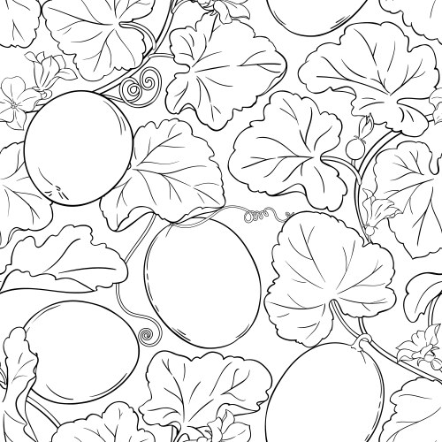 Melon plant set on white background Royalty Free Vector