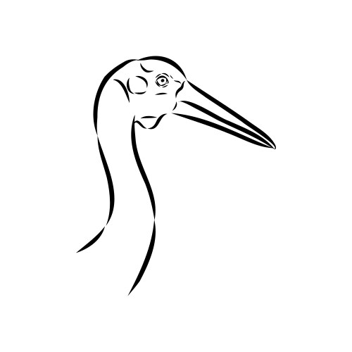 Brolga Vector Images (35)