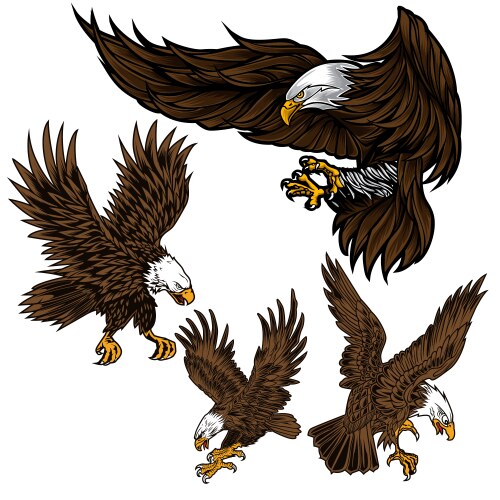 Eagle Royalty Free Vector Image - VectorStock