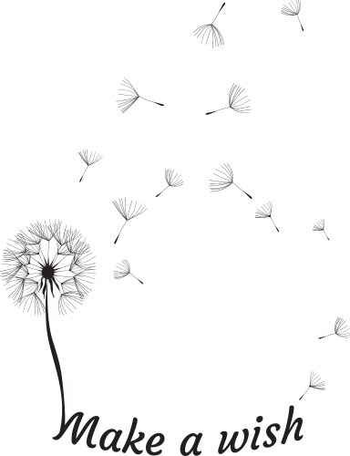 Dandelion Royalty Free Vector Image - VectorStock
