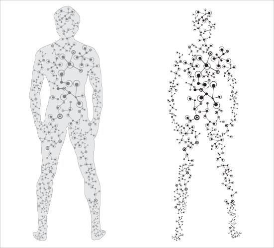 Human body molecular concept Royalty Free Vector Image