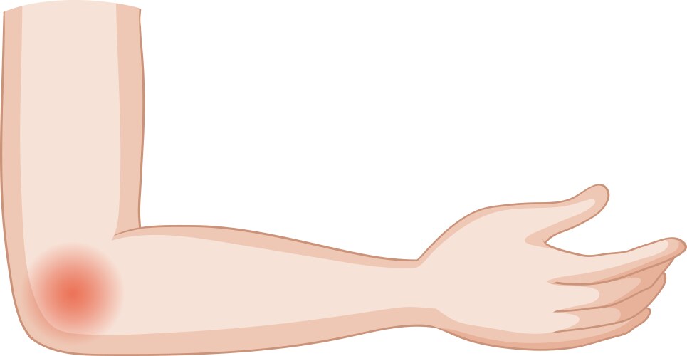 Elbow icon cartoon style Royalty Free Vector Image