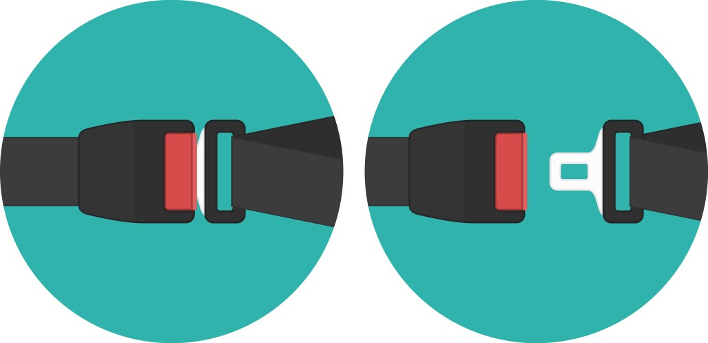 Sef of realistic safety belt isolated on white Vector Image