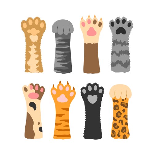 Paws cats different colors 10 spotted Royalty Free Vector