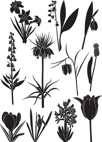 Spring Flower Vector Images (over 710,000)