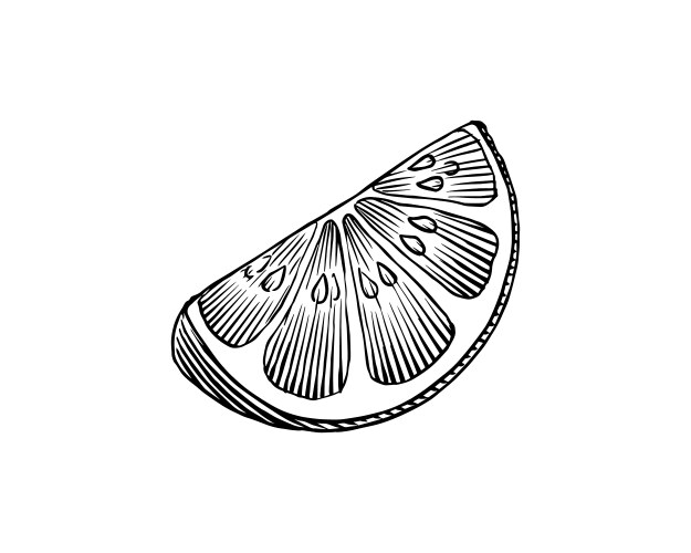 Continuous line orange citrus tropical fruit Vector Image