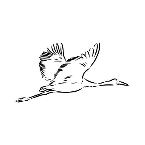 Brolga Vector Images (35)