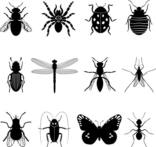 Locust Silhouette Vector Images (over 610)