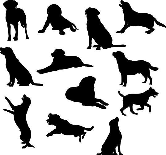 Silhouette Labrador Retriever Vector Images (over 2,200)