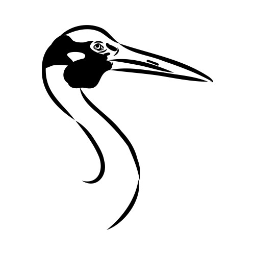 Brolga Vector Images (35)