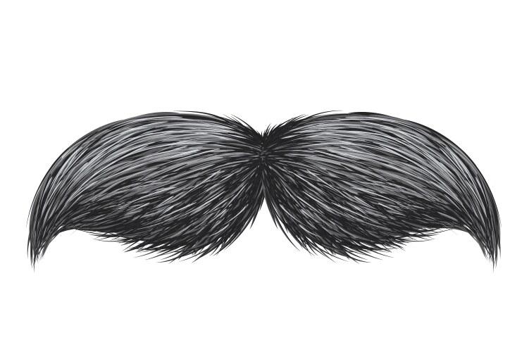 Chevron Mustache Clip Art Moustache, Beard, Chevron, English,