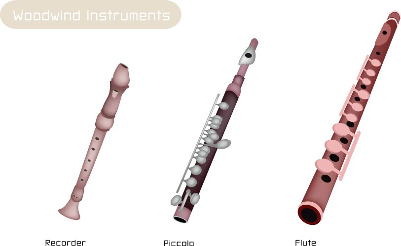 Woodwind musical instruments Royalty Free Vector Image