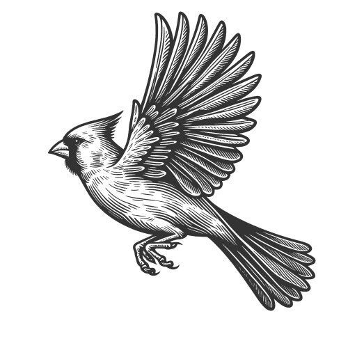 Flight Vector Images (over 320,000)