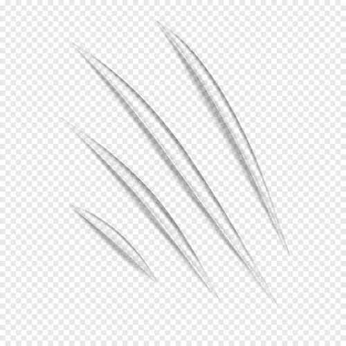 Claw scratch animal Royalty Free Vector Image - VectorStock