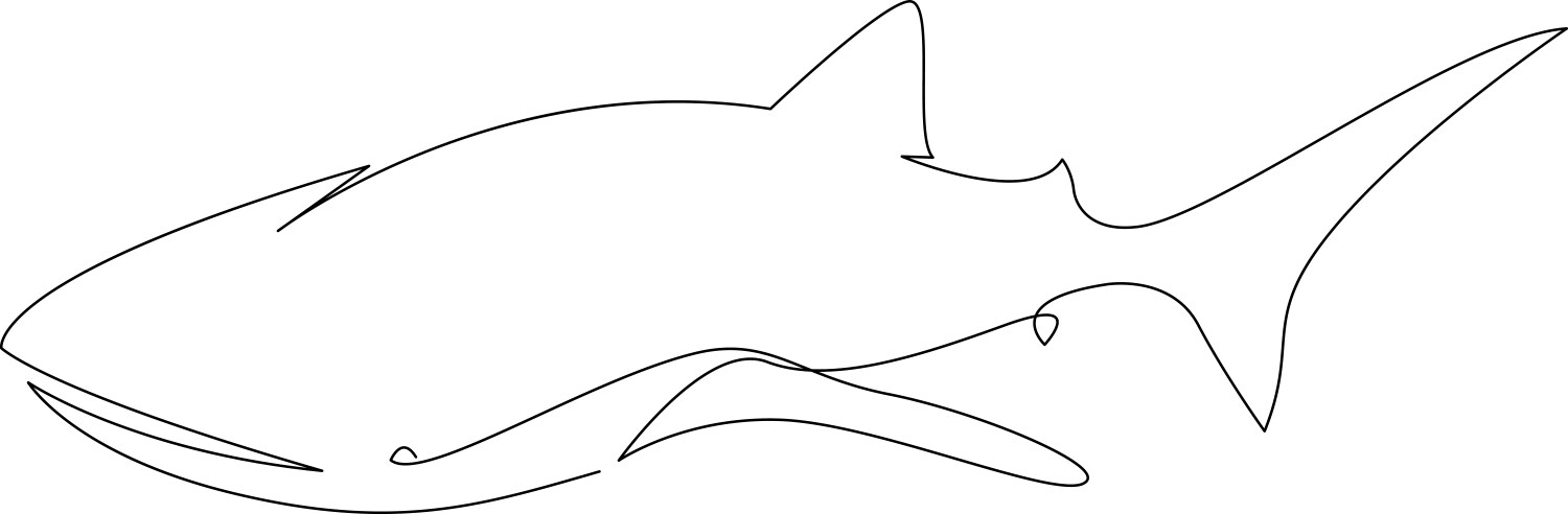 Hand drawn beluga whale sketch engraving Vector Image