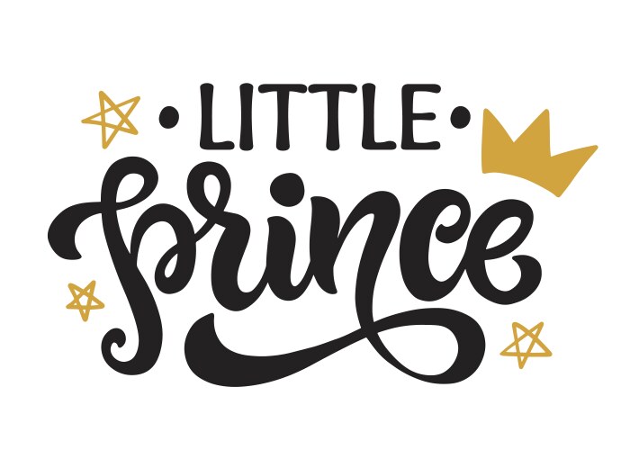 Princess hand written lettering template Vector Image