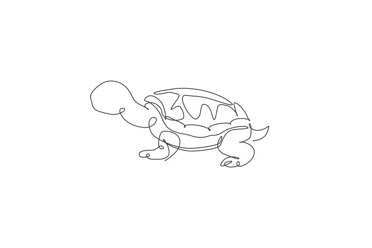 Tortoise Outline Vector Images (over 2,400)