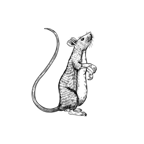 Sherlock holmes - great mouse detective cartoon Vector Image