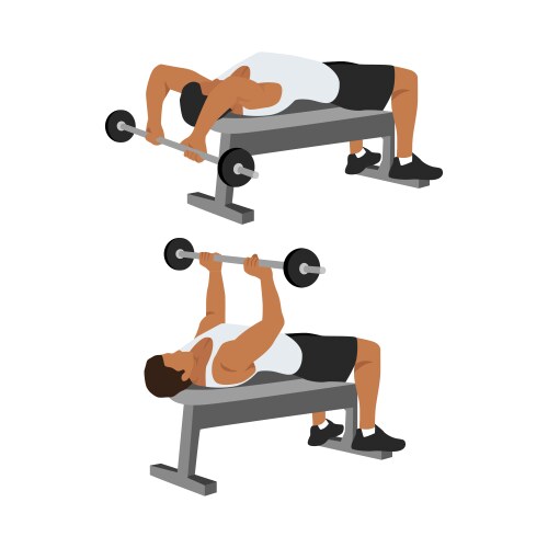 Chest building exercises and muscle Royalty Free Vector