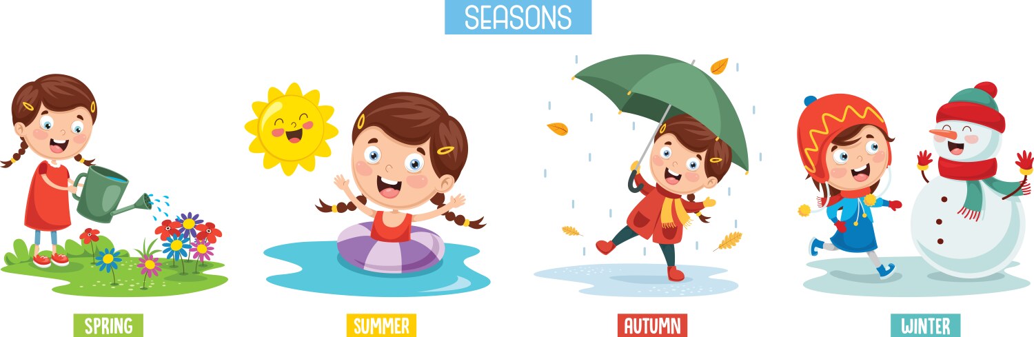 Four seasons concept art tree for your design Vector Image