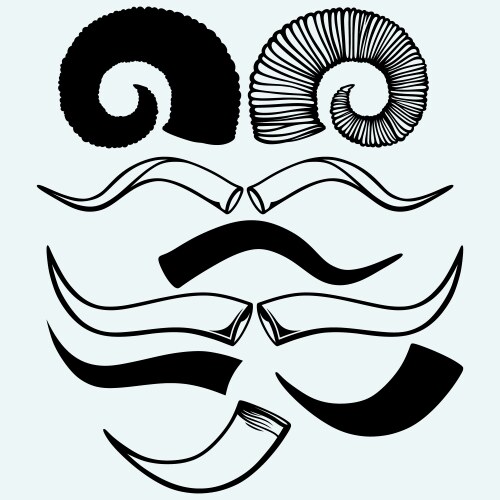 Deer horns Royalty Free Vector Image - VectorStock