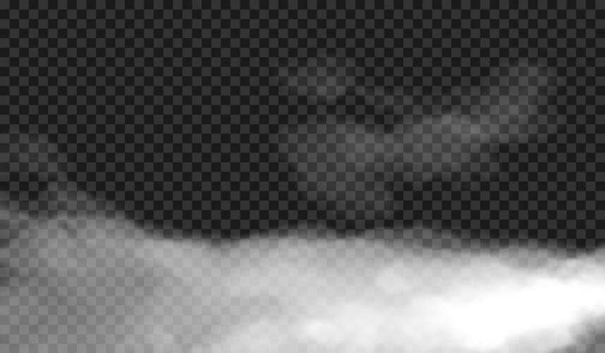 Fog and smoke isolated on transparent background Vector Image