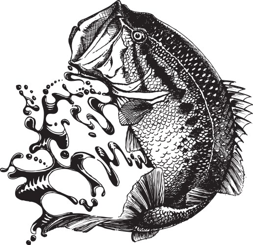 Bass Vector Images (over 88,000)