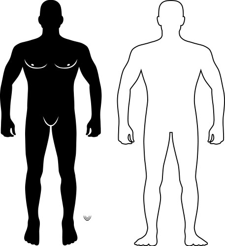 Male Body Outline Drawing Vector Images (over 6,900)