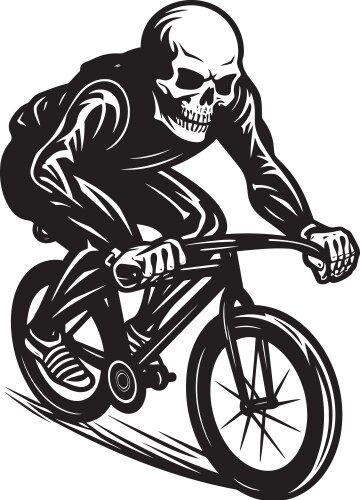 Skull cruiser iconic bicycle rider graphics Vector Image