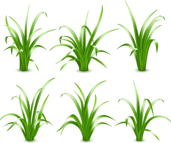 Grass Vector Images (over 390,000)