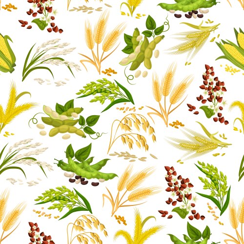 Seamless pattern with grains and cereals wheat Vector Image