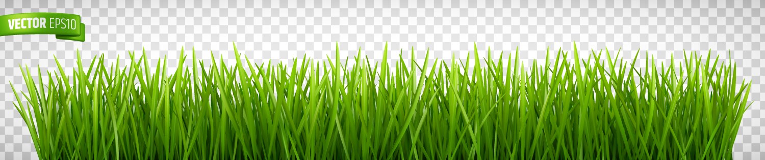 Grass Vector Images (over 390,000)