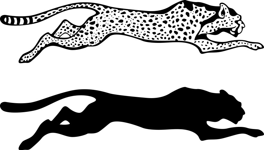 Cheetah Vector Images (over 25,000)